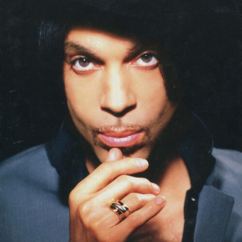 Download Prince & The New Power Generation - One Nite Alone... Live ...