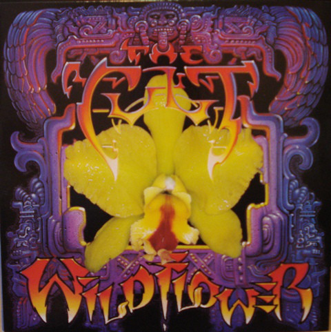 Download The Cult - Wildflower Live 1986-1987 (1987) - Rock Download